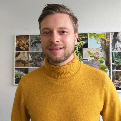 Fortbildungen in der Logopädie in Ulm | Loguan